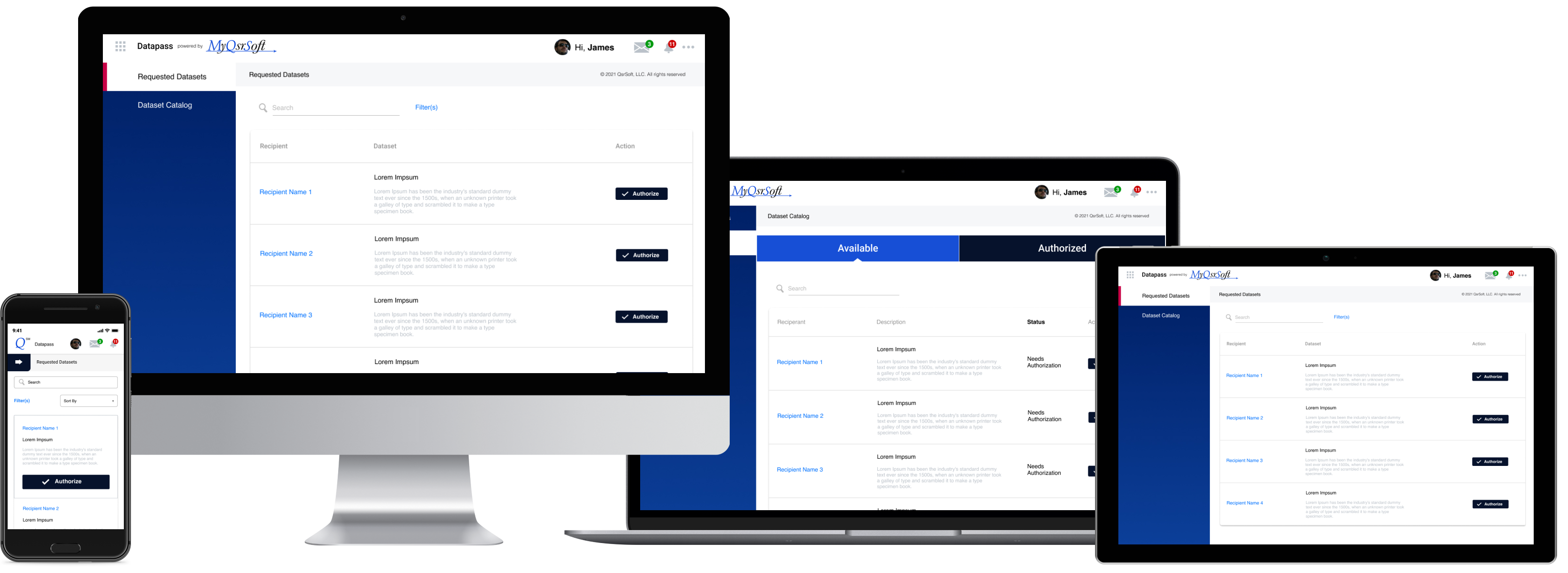 QsrSoft Data Pass - QsrSoft